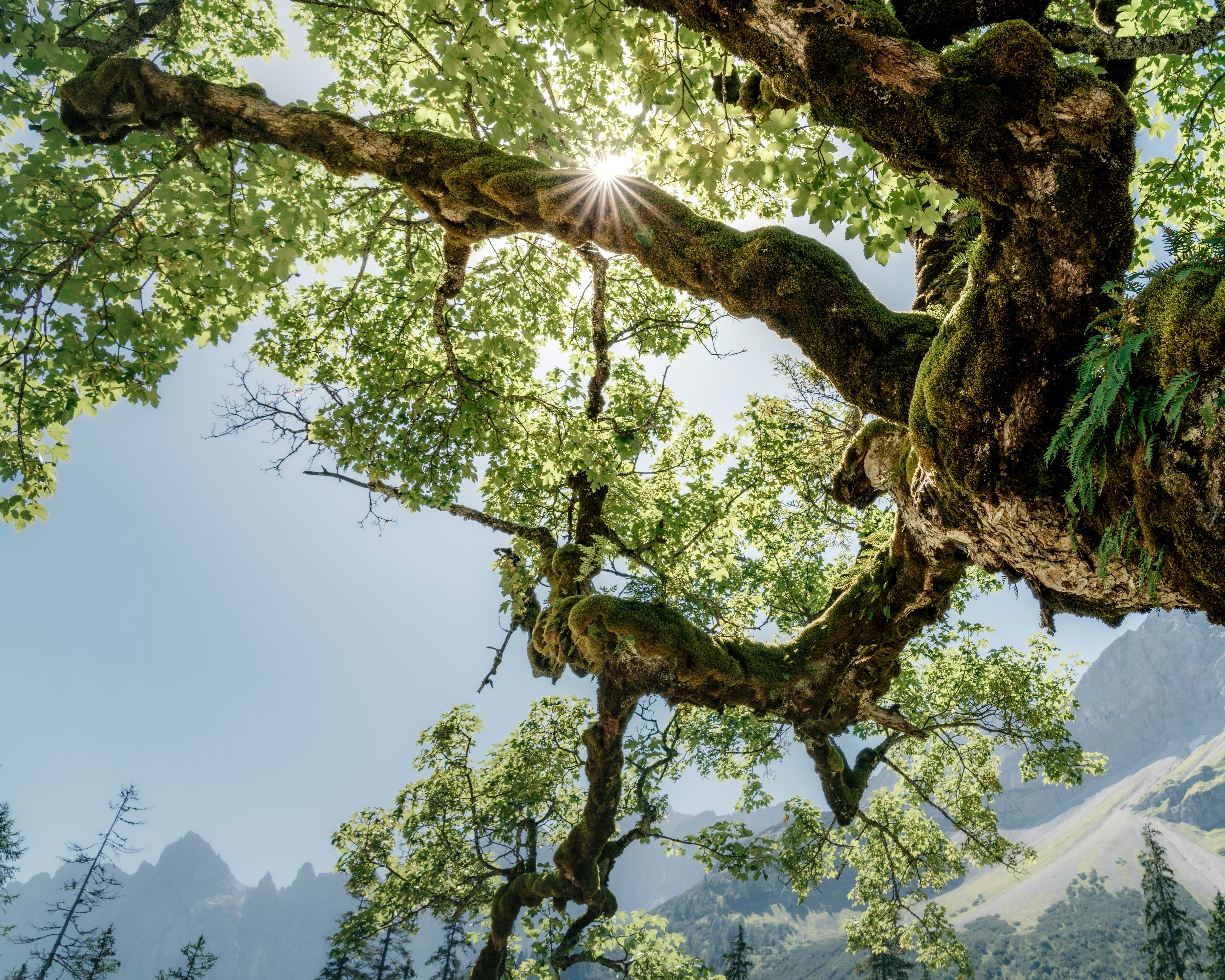 ISO-GHG Protocol Partnership: Frequently Asked Questions | GHG Protocol